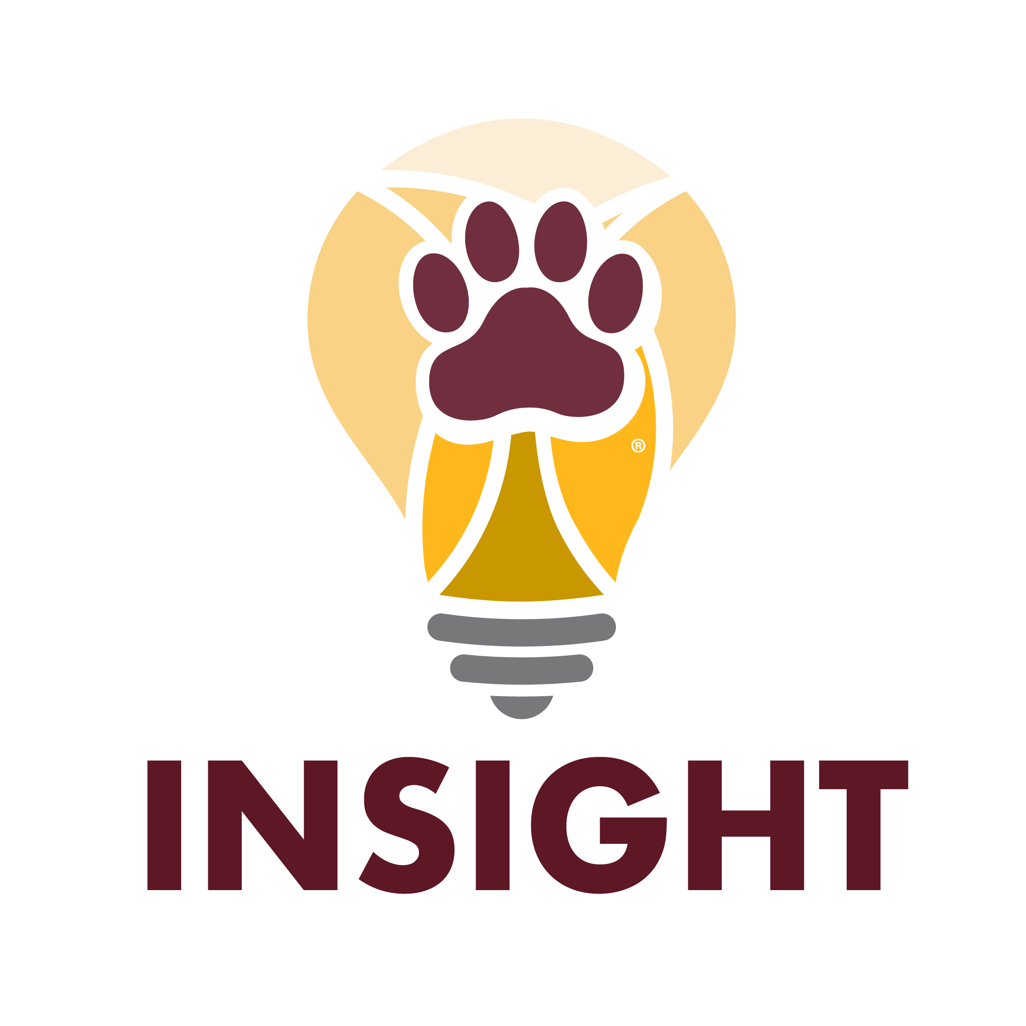 Online Insight Program Mississippi State Online
